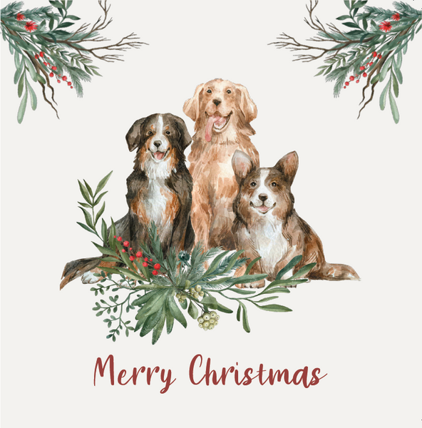 Dog Christmas cards – WVSshop